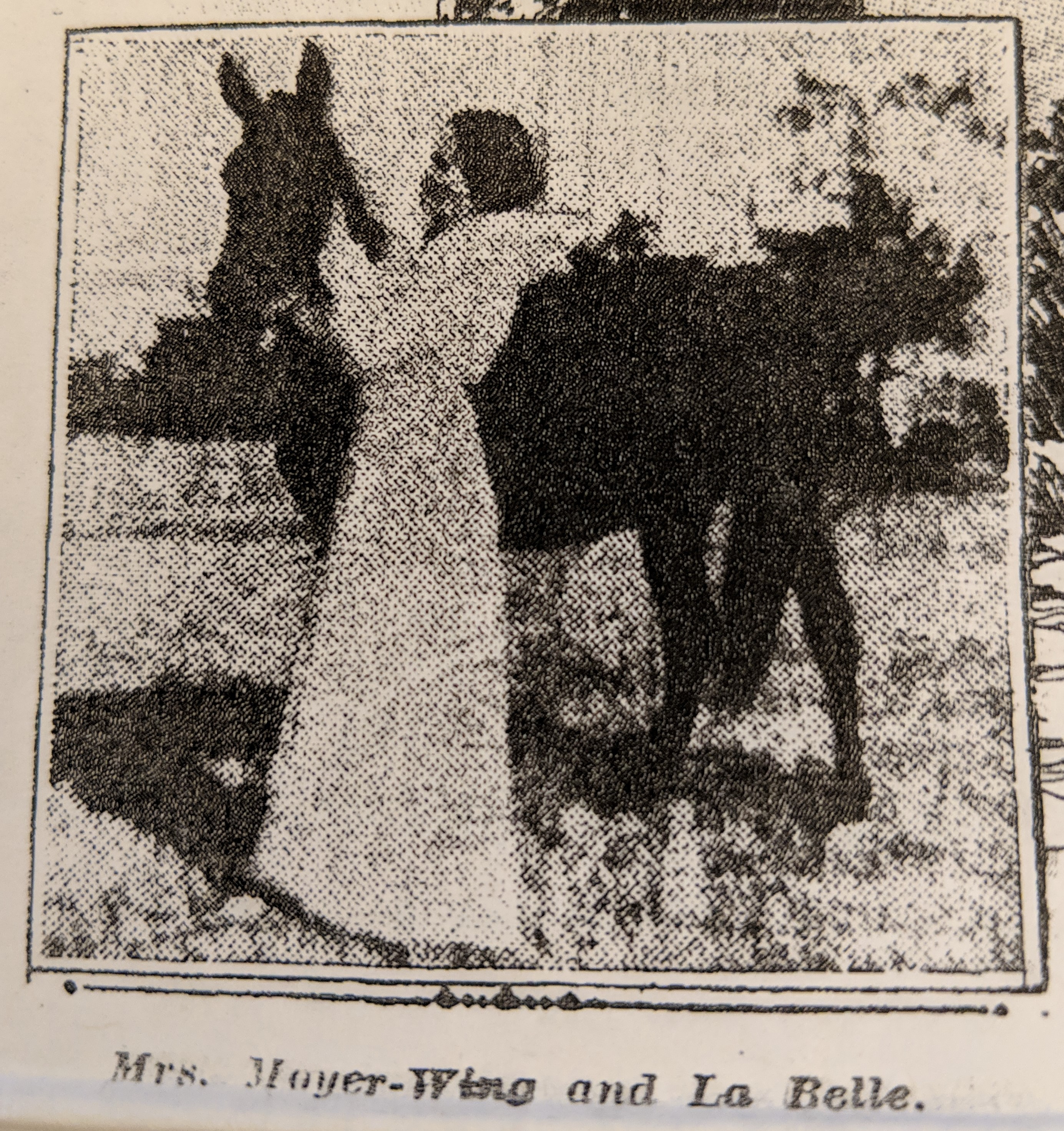 A “Black Day” in the Campaign for Suffrage in the Ozarks by Alice ...